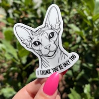 4 Sphynx Cats Bumper Stickers Set - Etsy