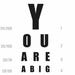 Funny Snellen Chart - Eye Test Chart - Eye Chart - Visual Acuity ...
