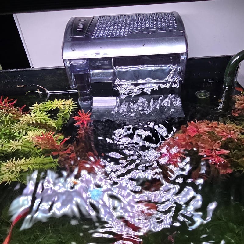 20 Aquascape - Etsy
