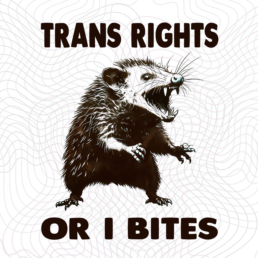 Trans Rights or I Bites Raccoon PNG File, Retro Raccoon PNG, Vintage ...