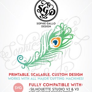 Pretty Peacock Feather SVG, DXF, PNG Digital Download Files for ...