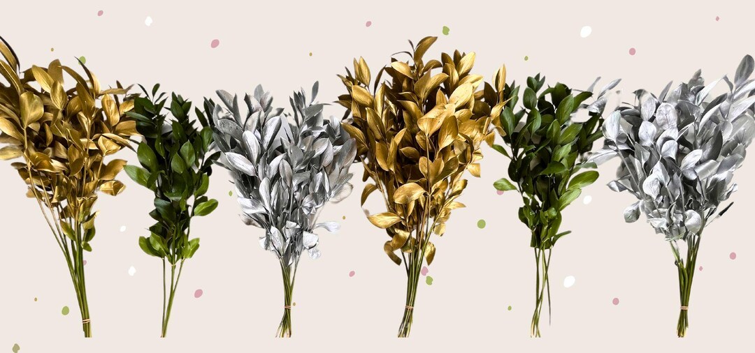 Fresh Cut Ruscus Israeli Mix – Green, Silver & Gold – 15 Stems Each ...