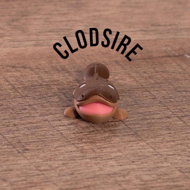 Clodsire Plush - Etsy
