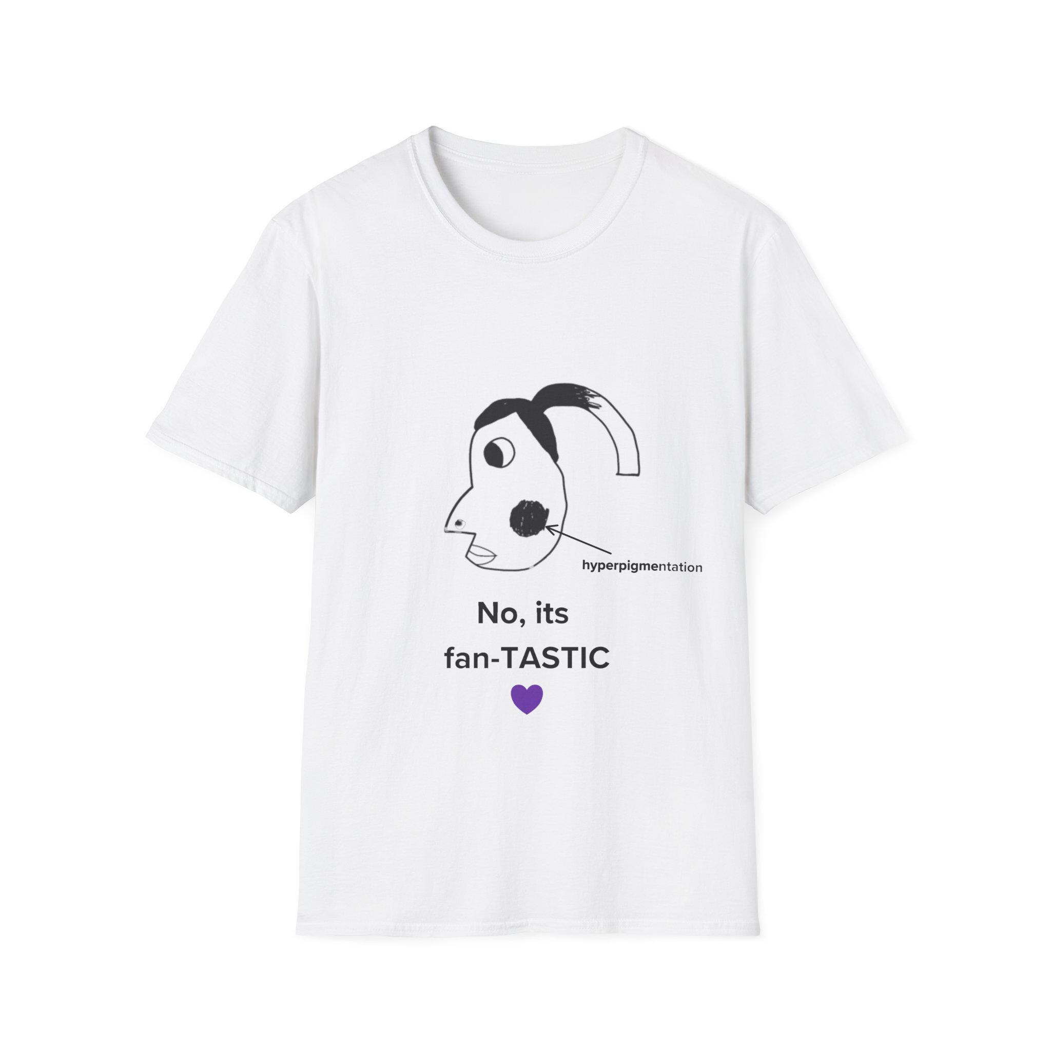 Funny Tiktok 'its Fan-tastic' Unisex Softstyle T-shirt, Meme Lovers ...