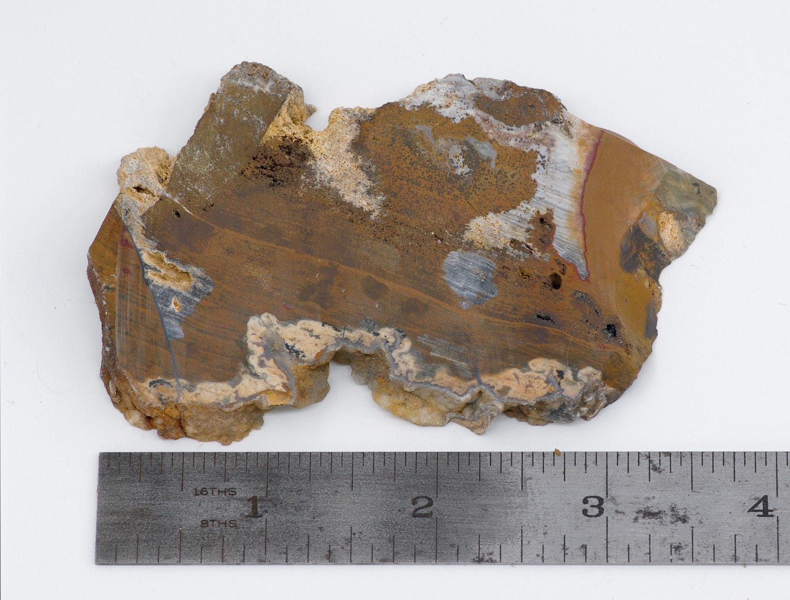 Genuine Ohio Rainbow Flint Slab Medium 3.4 X 2.2 X 0.25 - Etsy