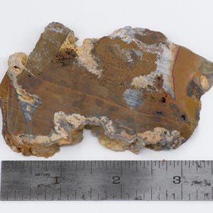 Genuine Ohio Rainbow Flint Slab Medium 3.4 X 2.2 X 0.25 - Etsy