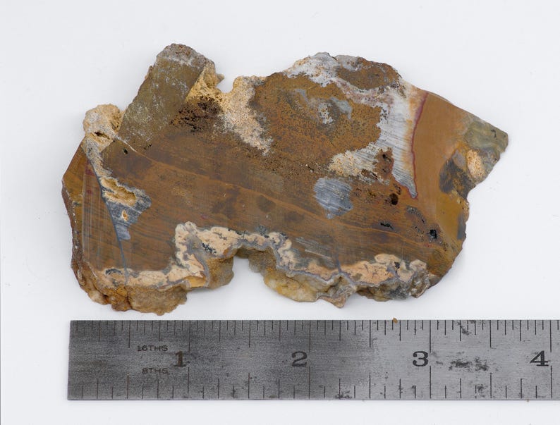 Genuine Ohio Rainbow Flint Slab Medium 3.4 X 2.2 X 0.25 - Etsy