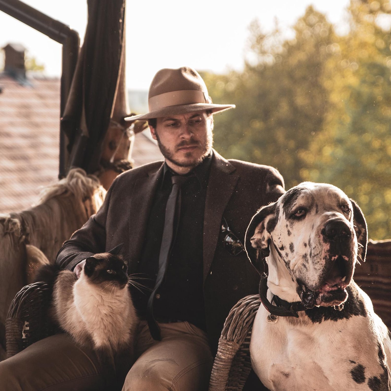 DIPLOMAT Men's Classic Fedora Hat, Elegant Hat, Wool Felt - Etsy