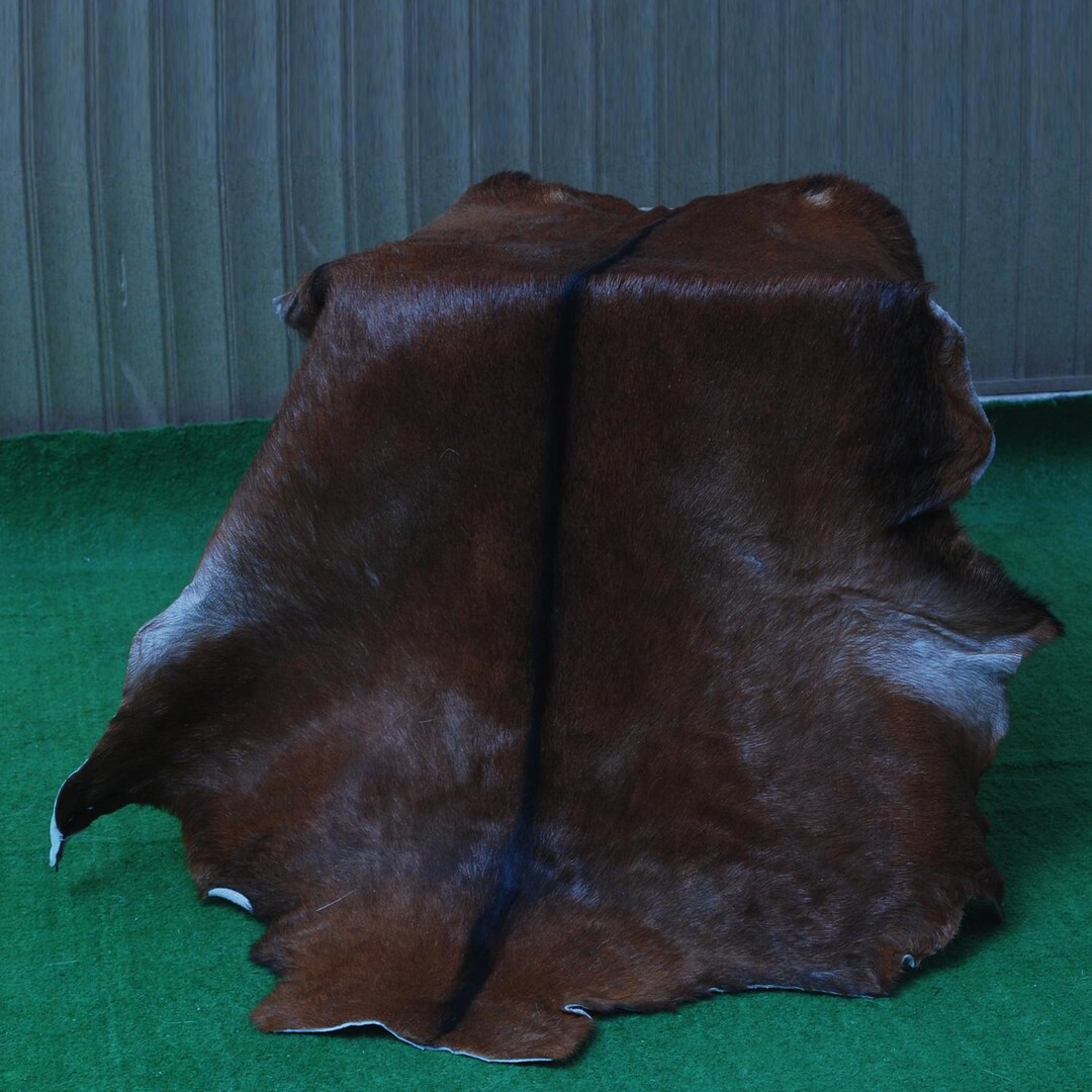 Brown & White Goat Skin Rug: Natural Hair-on Hide, 38x25 Inches - Etsy