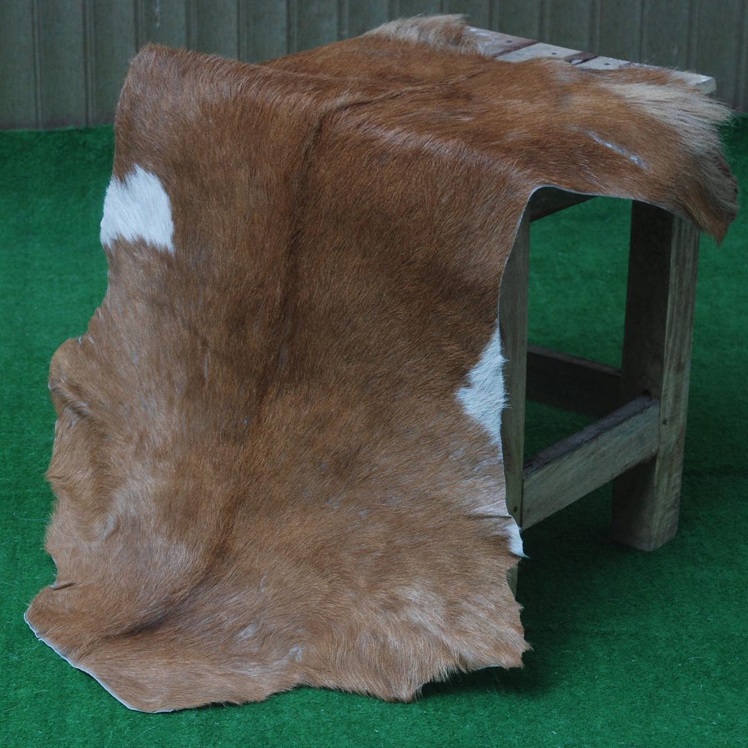 Elegant Brown and White Goat Skin Rug - Handcrafted Animal Hide for ...
