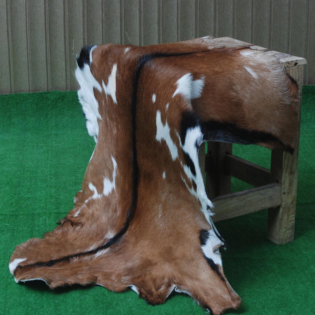 Tri-color Goat Skin Rug - Authentic Natural Animal Hide for Rustic or ...