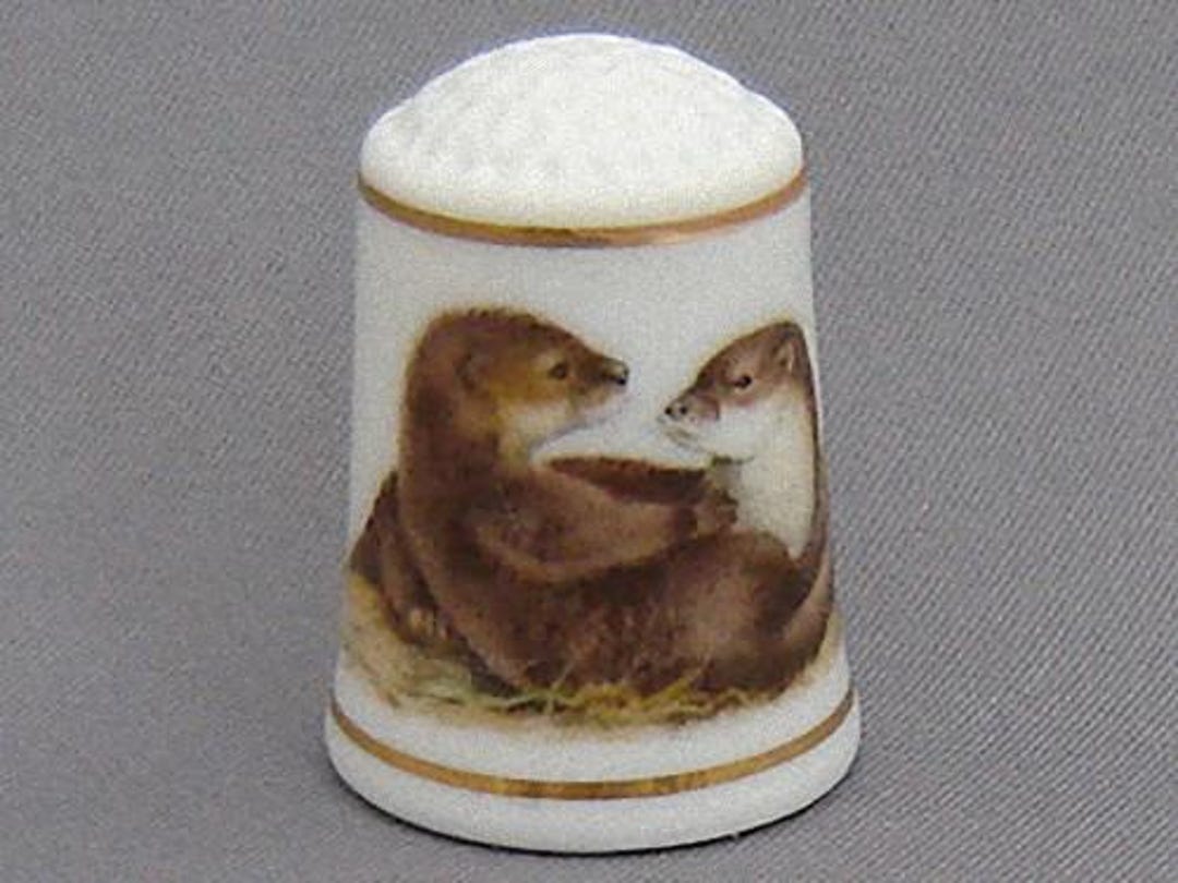 Franklin - Otters, Baby Animals of the World - Etsy