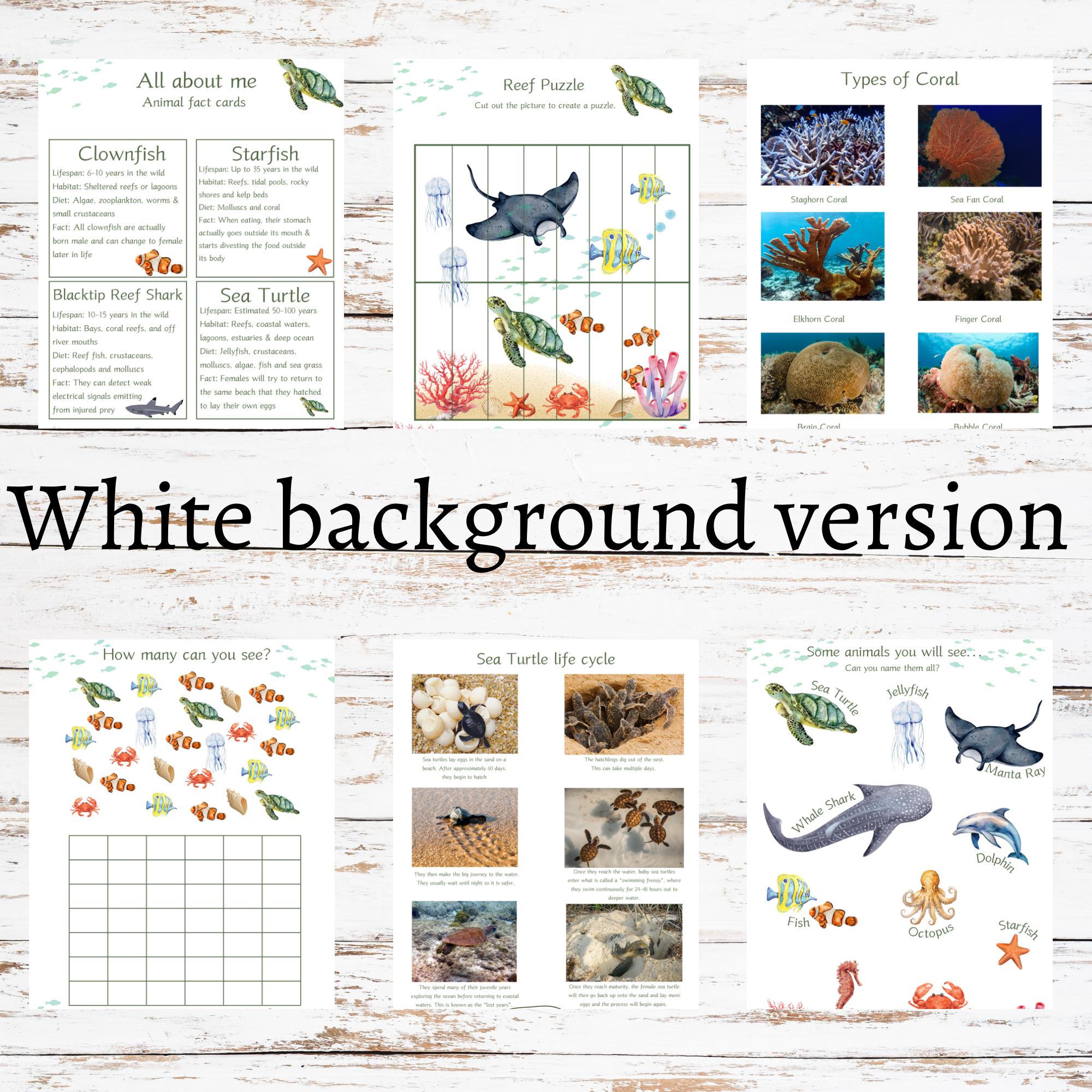 Great Barrier Reef Workbook, Coral Reef, Ocean Unit Study, Under the ...