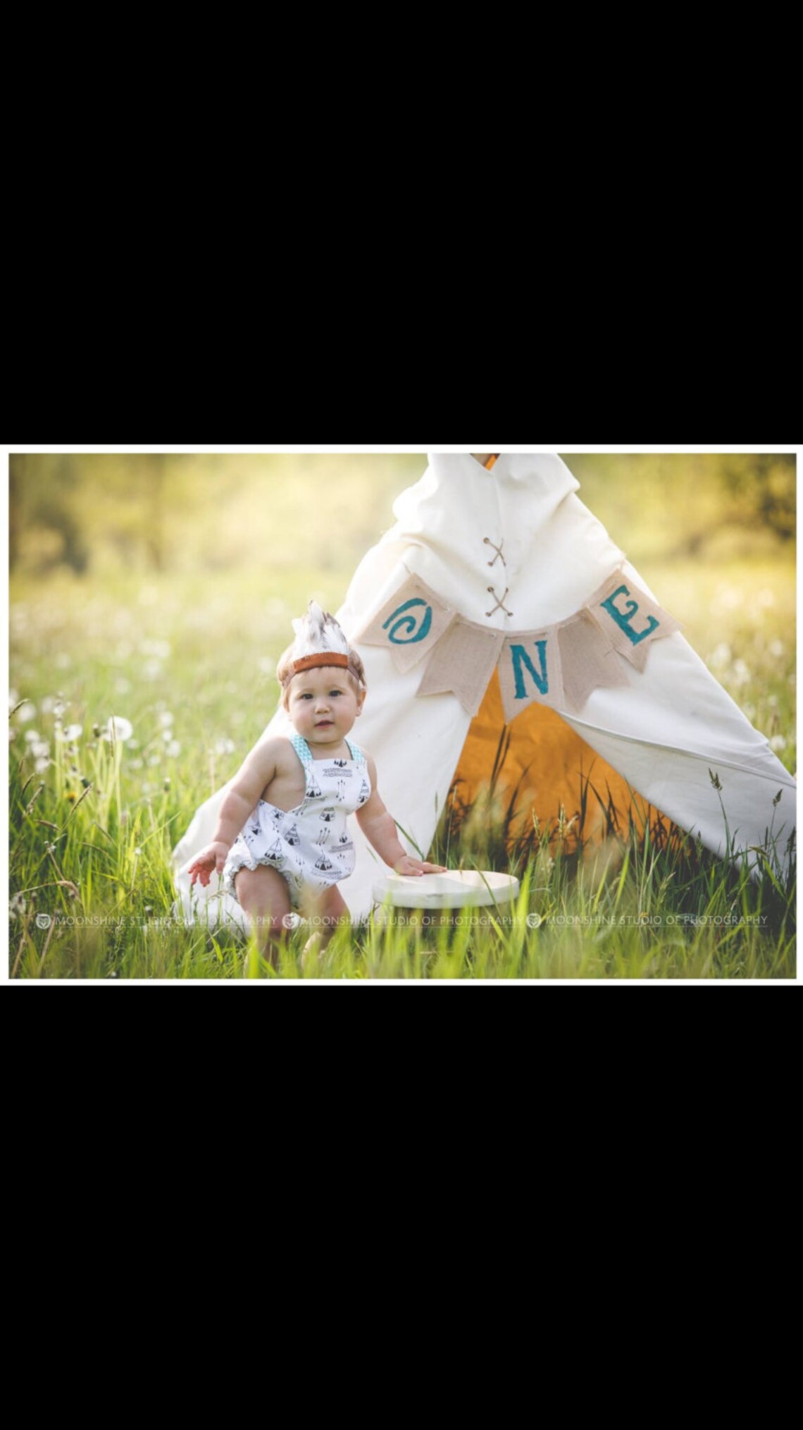 Wild & One - Tribal - Pow Wow - Aztec - Tee Pee - First Birthday ...