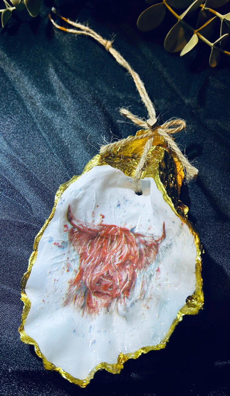 Highland Cow Cornish Oyster Shell Wall Hang/rustic Home Décor - Etsy