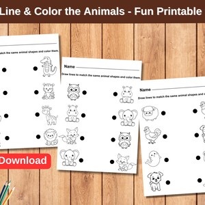 Animal Matching & Coloring PDF | Draw a Line and Color | Preschool ...