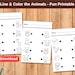 Animal Matching & Coloring PDF | Draw a Line and Color | Preschool ...
