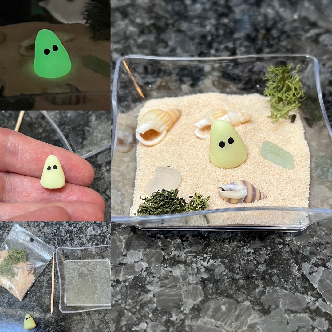 Tiny Ghostly Zen Garden DIY Comes With Sand Ghost Moss Seashells and ...