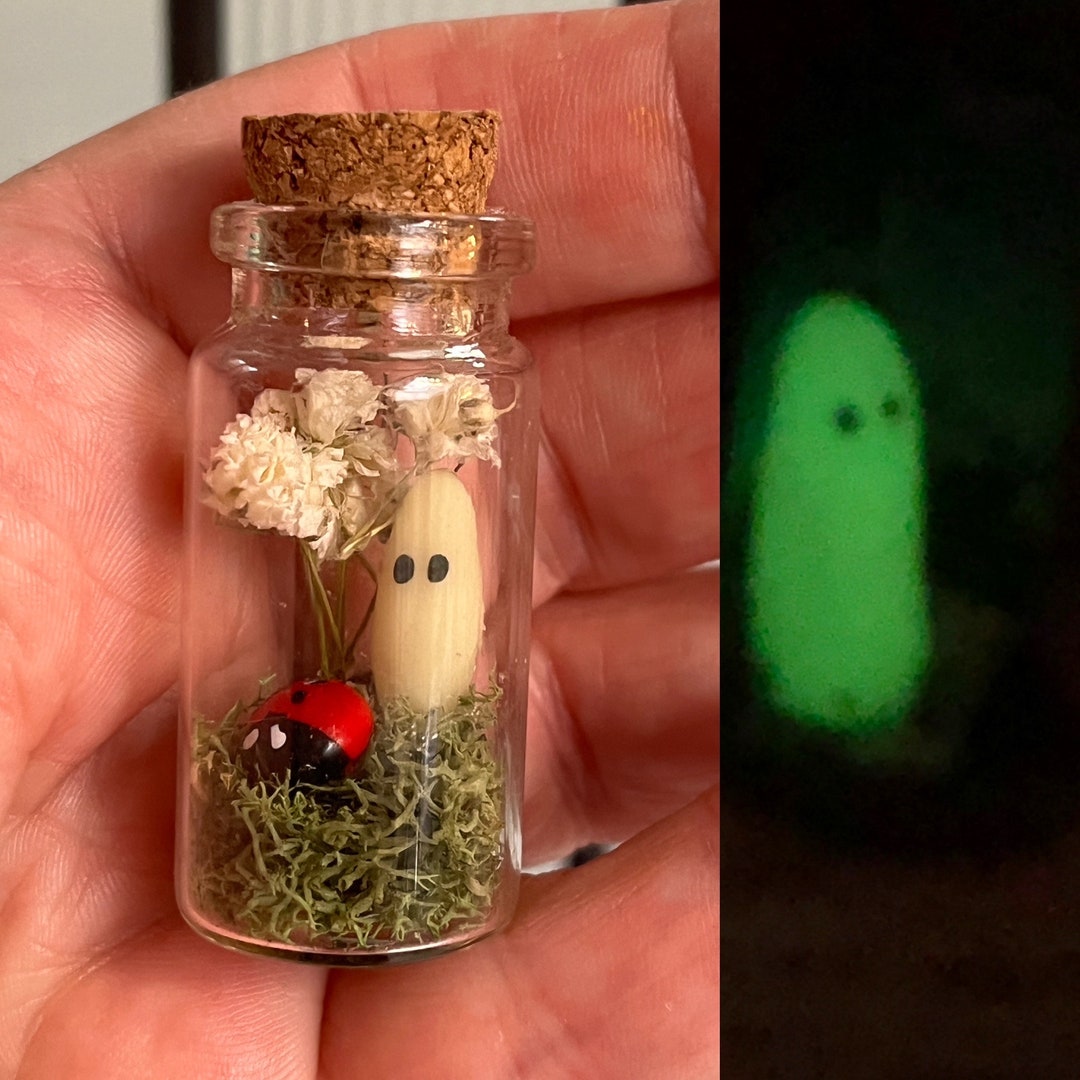 Spirit Jars With Glow in the Dark Spirit Ghost Choose Your Spirit Shown ...