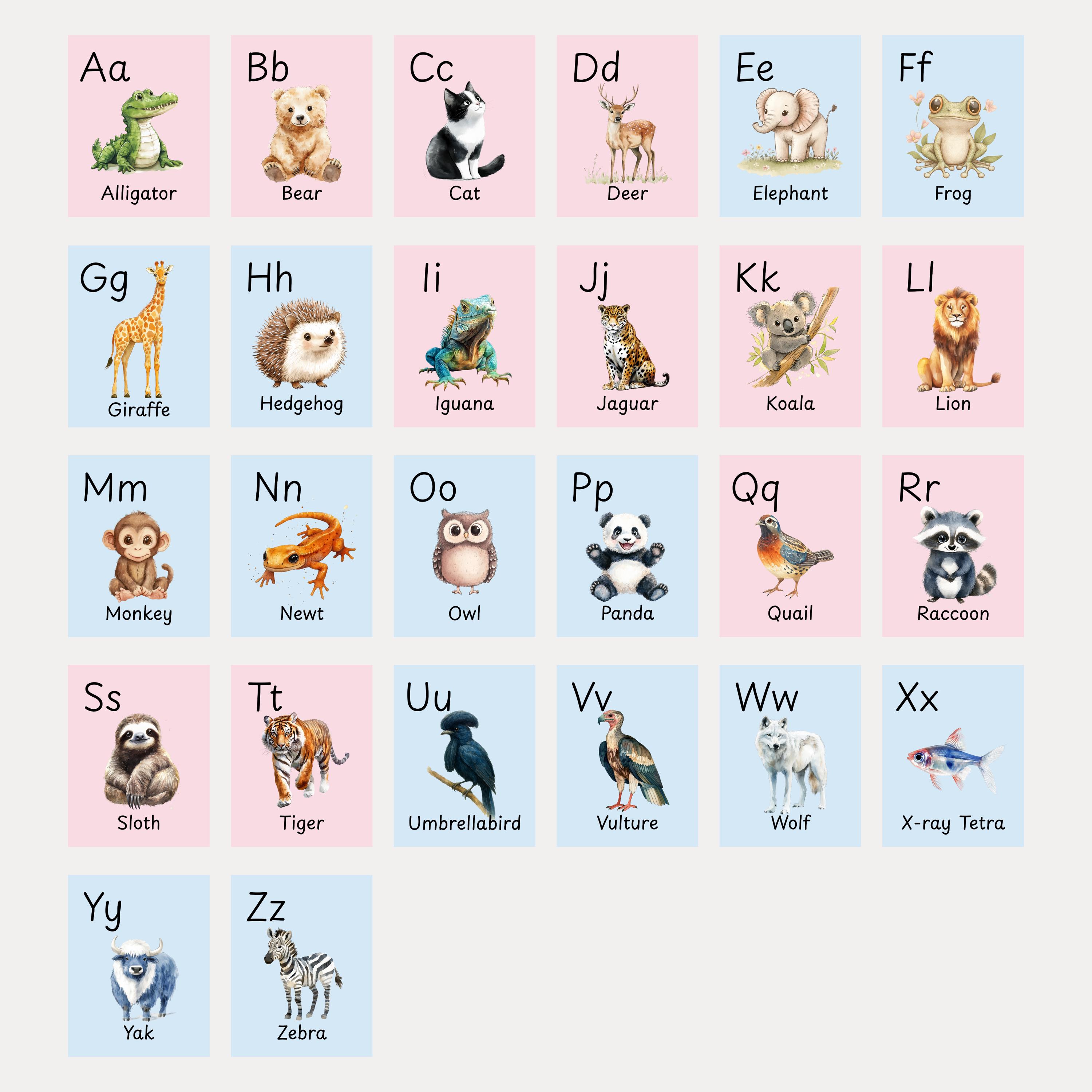 Animal Alphabet Cards, Montessori Cards, Animal Flashcards, Homeschool ...