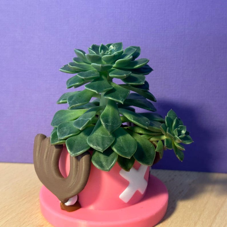 Tony Chopper Flower Pot From One Piece - Etsy