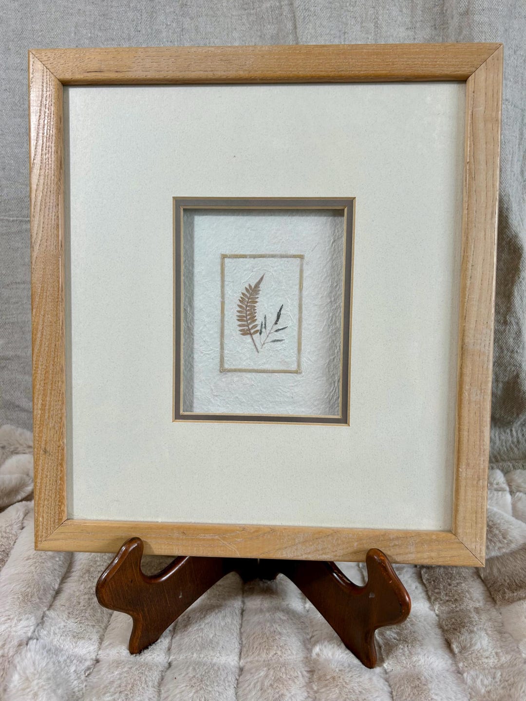 Madagascar Handmade Paper Art - Framed Pressed Botanical Print ...