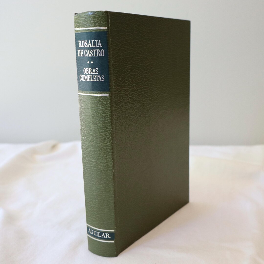 The Complete Works of Rosalia De Castro, Volume 2 | Vintage Poetry Book ...