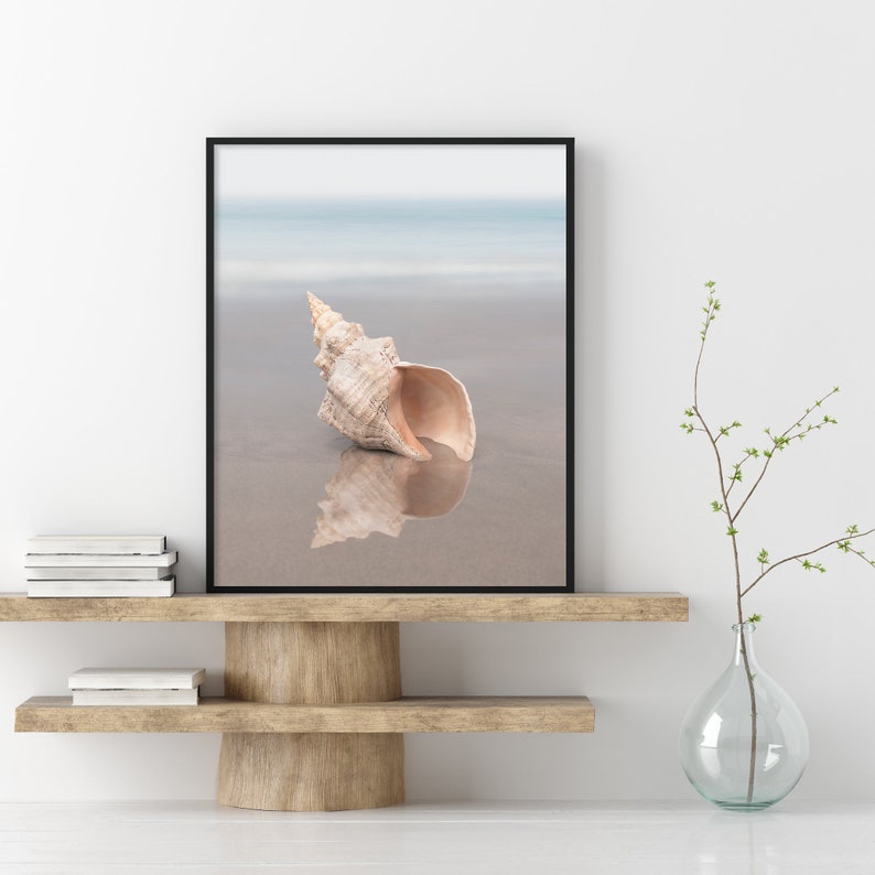 Conch Shell Print Seashell Printable Shell Print Seashell | Etsy