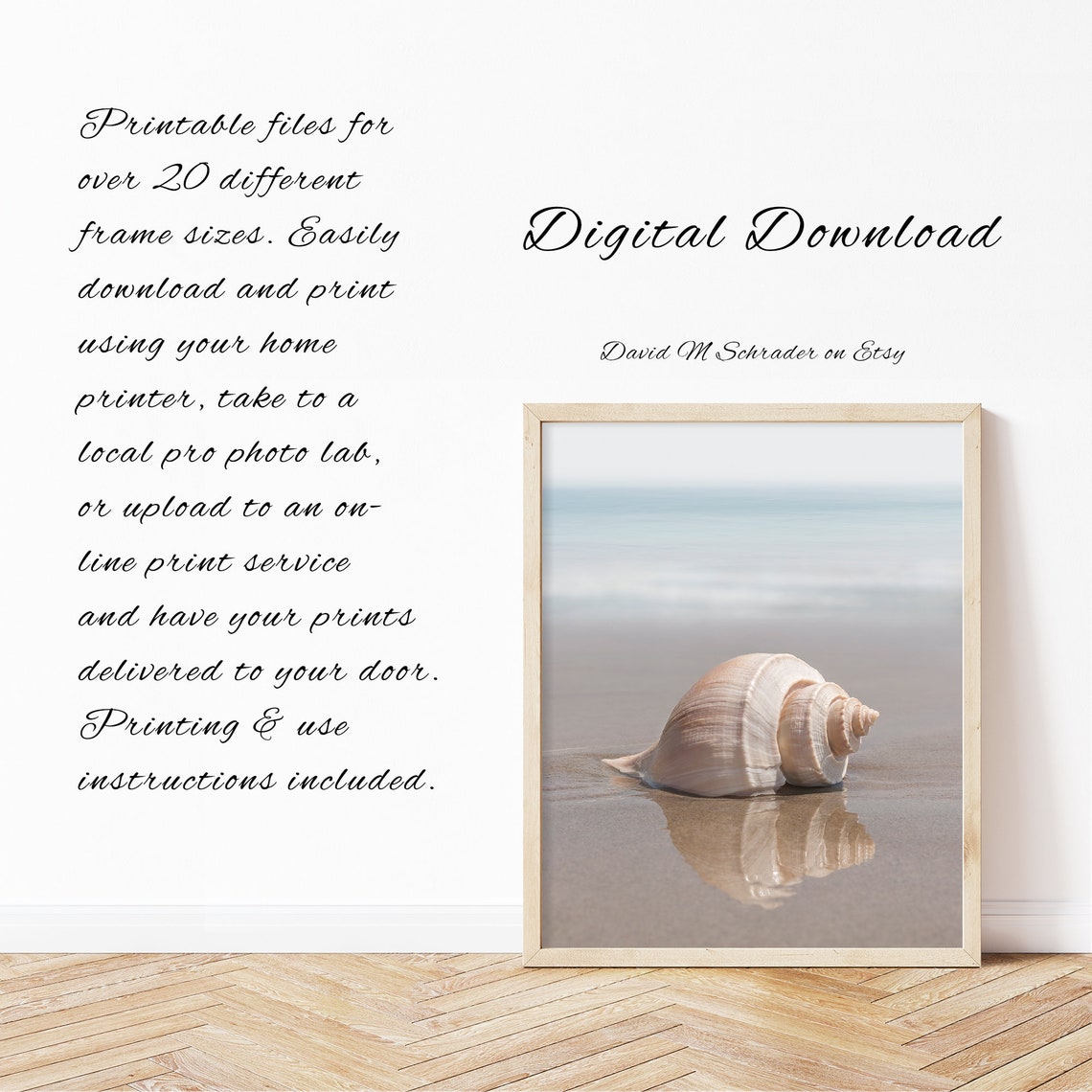 Whelk Shell Print Seashell Print Ocean Decor Wall Art - Etsy