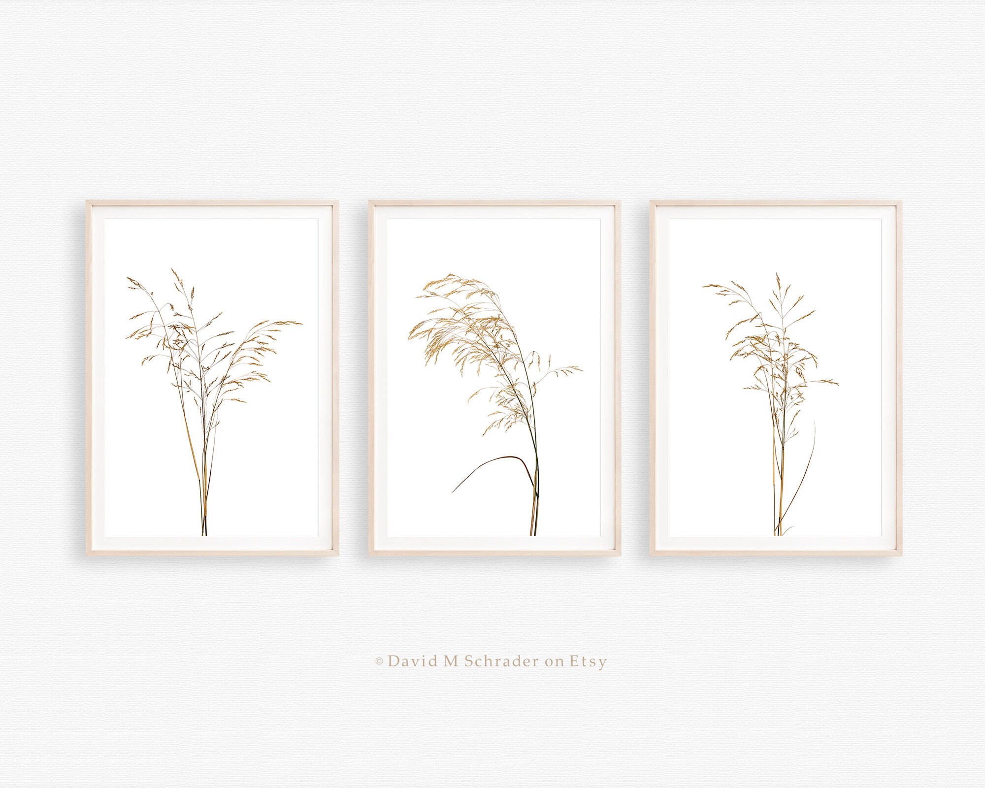 Set of 3 Prints Plant Art Triptych Farmhouse Printable - Etsy