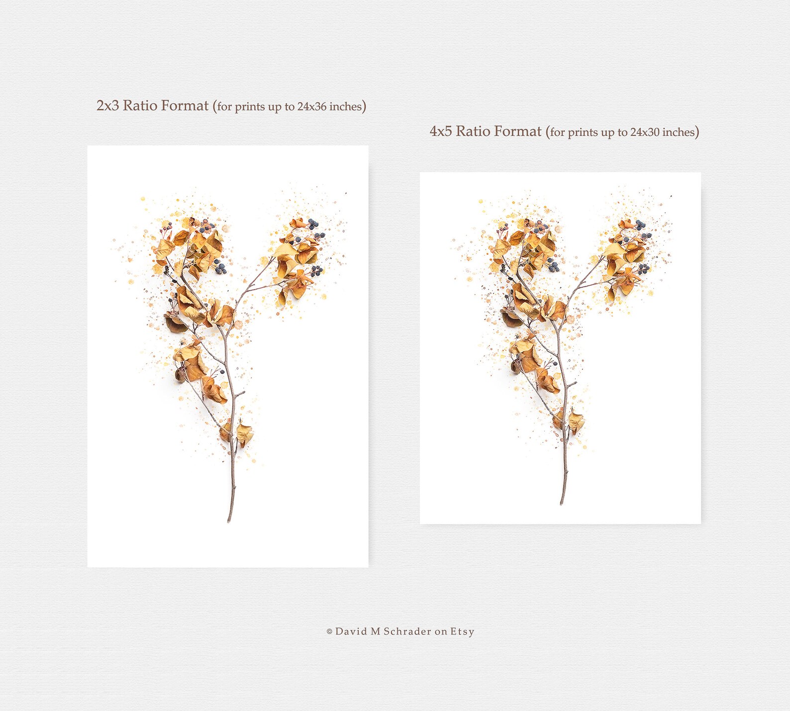 Botanical Printable Plant Watercolor Art Brown Leaf - Etsy