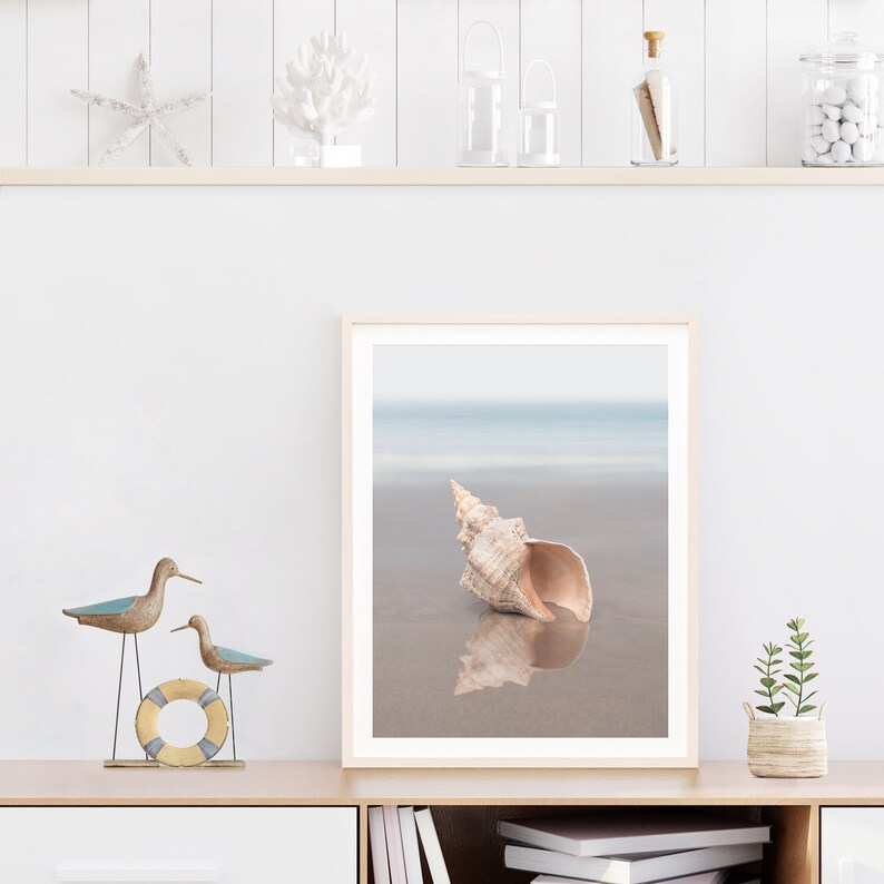 Conch Shell Print Seashell Printable Shell Print Seashell | Etsy