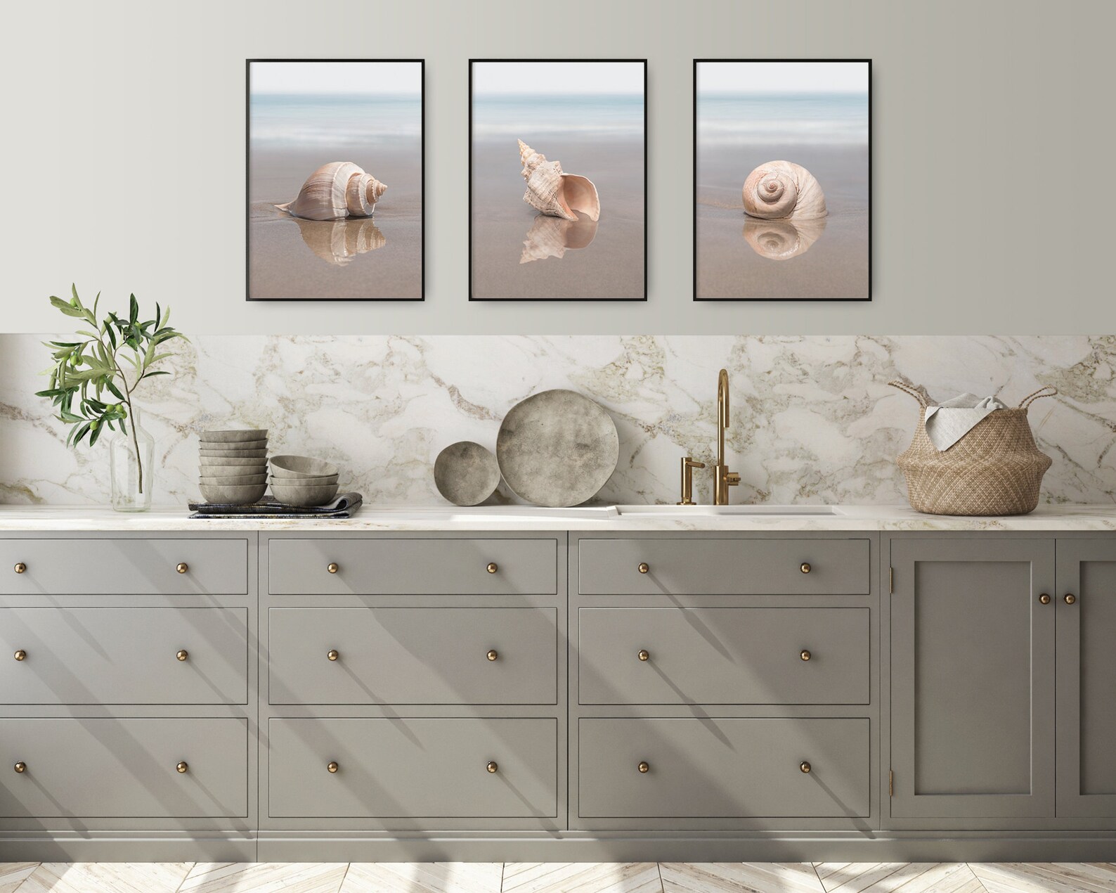 Set of 3 Shell Prints, Shell Print Set, Seashell Print Set, Shell ...