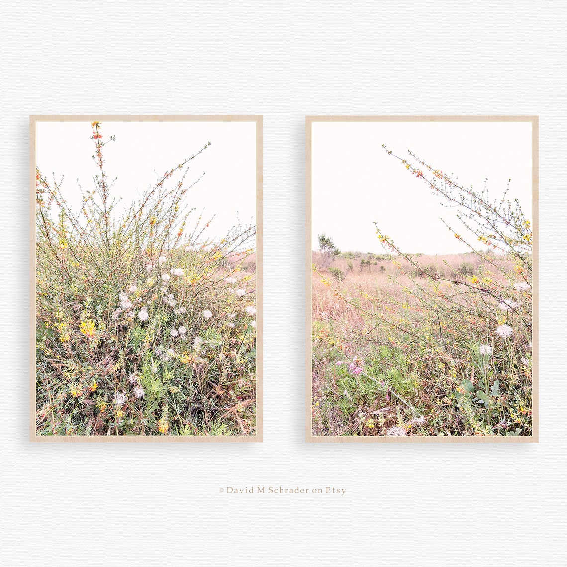 Set of Two Flower Prints, Flower Foliage Diptych, Coastal Wildflowers ...
