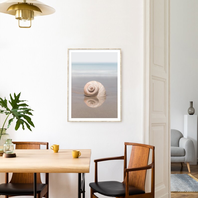 Seashell Printable Shell Print Seashell Photo Shell - Etsy