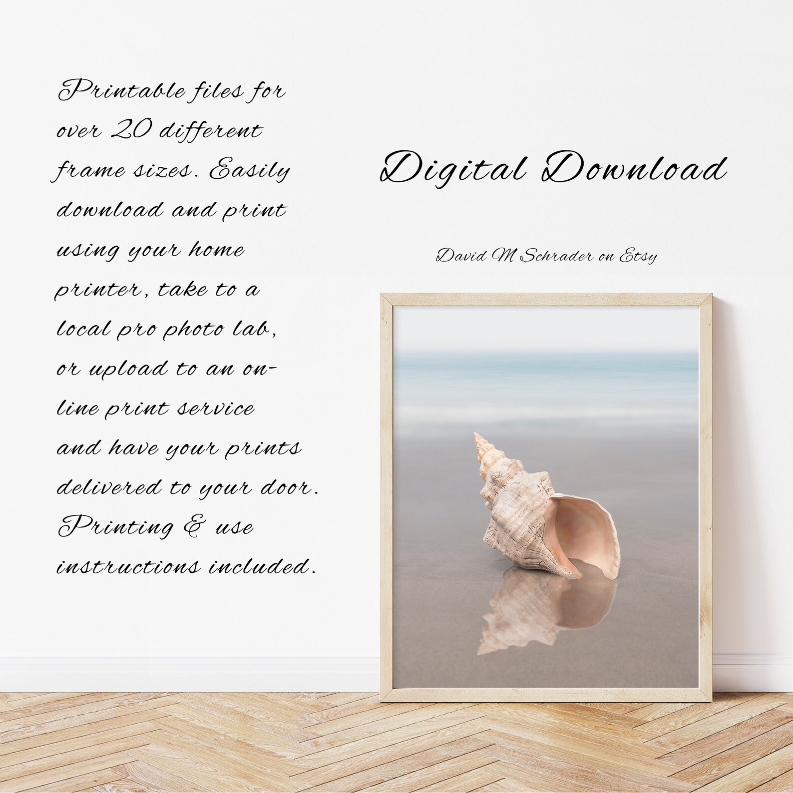 Conch Shell Print Seashell Printable Shell Print Seashell | Etsy
