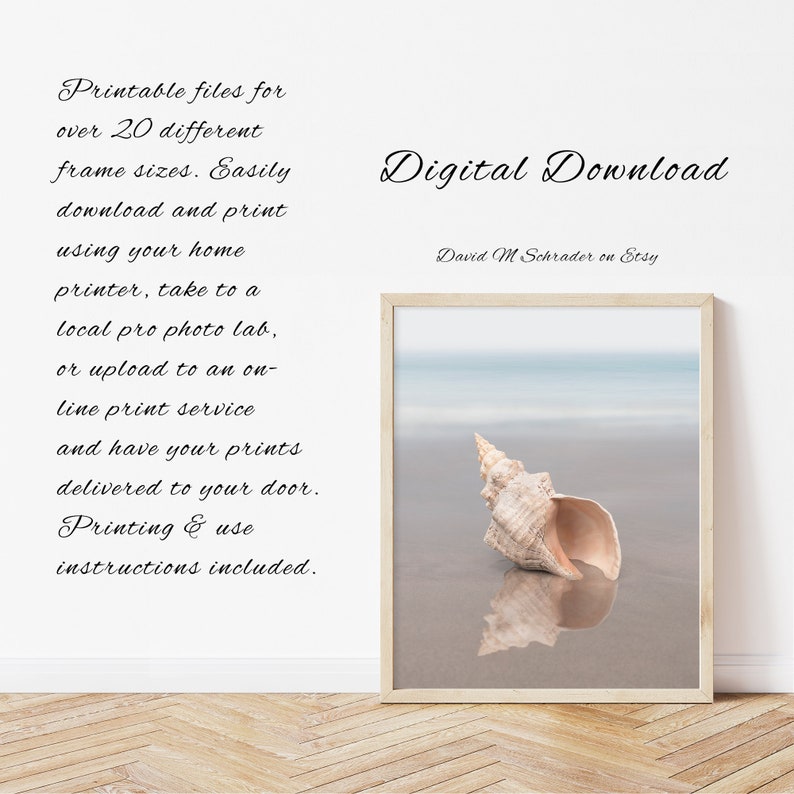 Conch Shell Print Seashell Printable Shell Print Seashell | Etsy