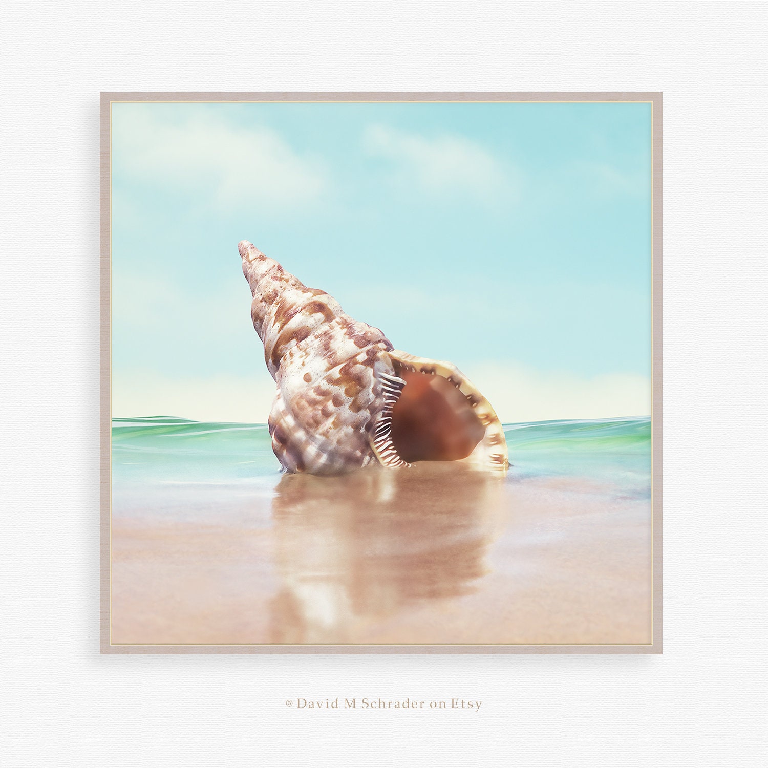 Sea Shell Print Seashell Print Shell Photography Ocean Wall - Etsy