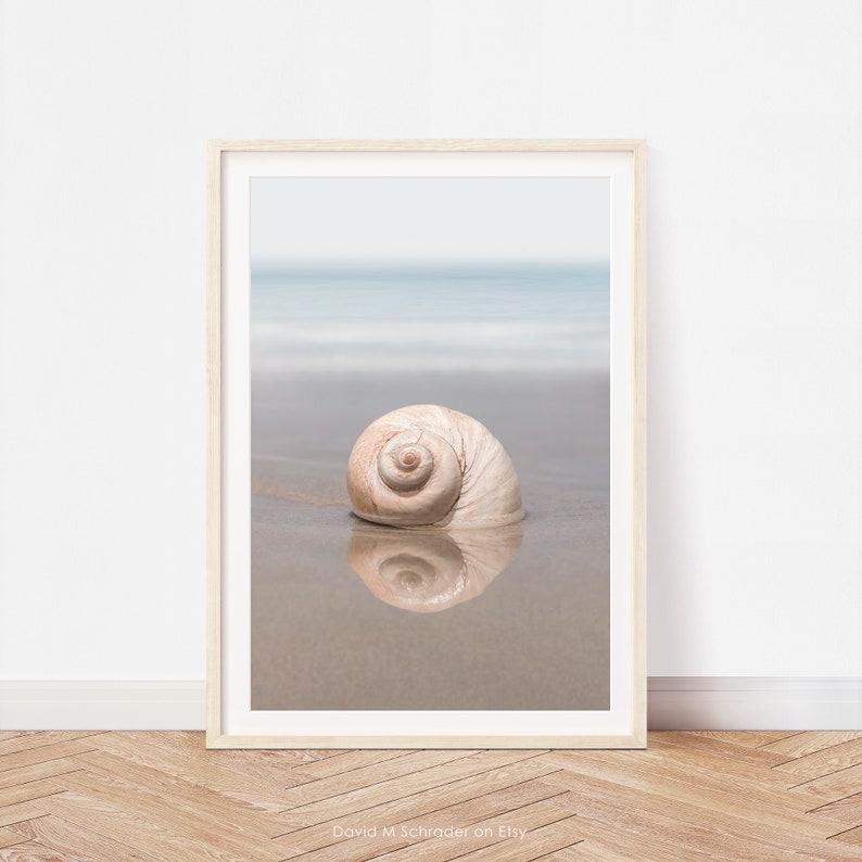 Seashell Printable, Shell Print, Seashell Photo, Shell Photograph ...