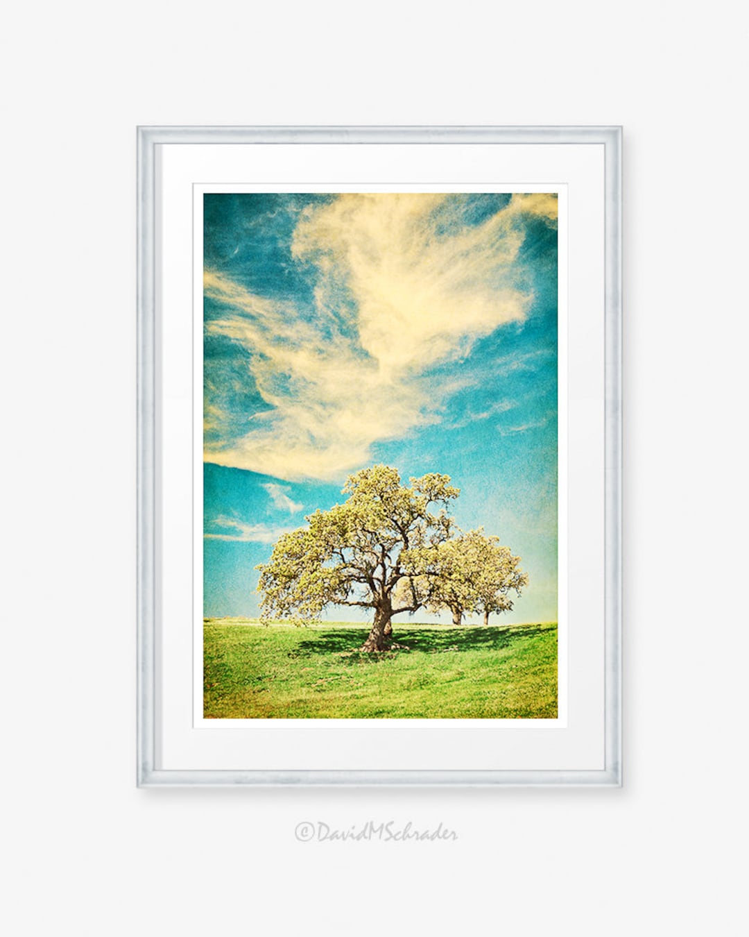 Oak Tree Photo, Oak Tree Photograph, Oak Tree Print, Vintage Oak Tree ...
