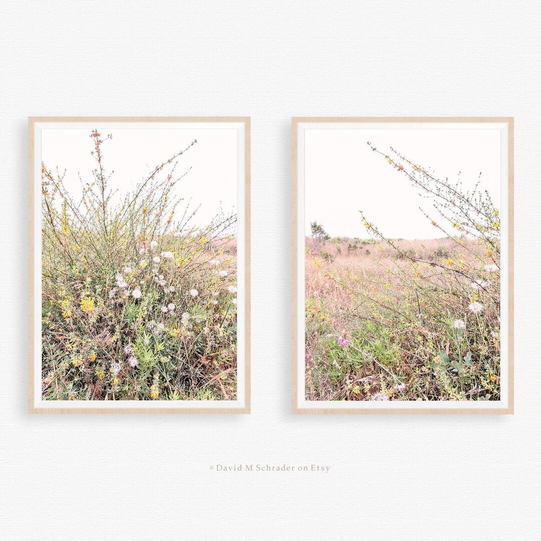 Set of Two Flower Prints, Flower Foliage Diptych, Coastal Wildflowers ...