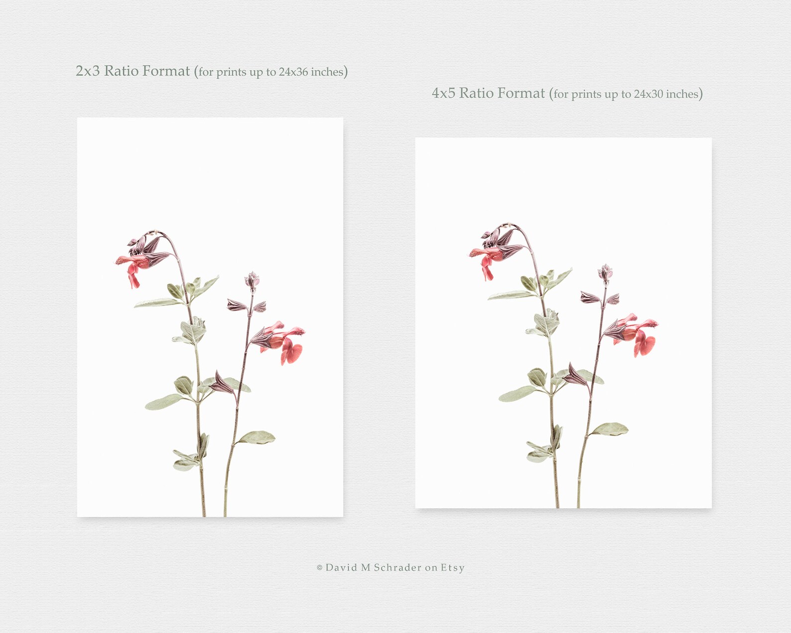 Set of 3 red flower prints Red flower triptych Botanical | Etsy