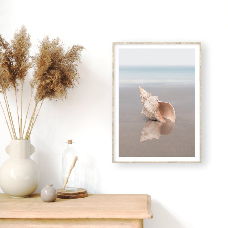 Conch Shell Print Seashell Printable Shell Print Seashell | Etsy