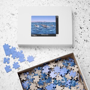 Dolphin Jigsaw Puzzle, 1014 Pieces, Ocean Wildlife Game, Adults, Kids ...