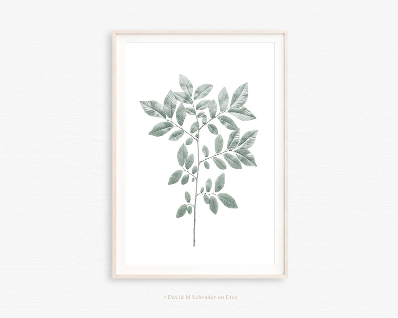 Set of 3 Plant Prints, Minimalist Botanical Triptych, Fern Print, Plant ...