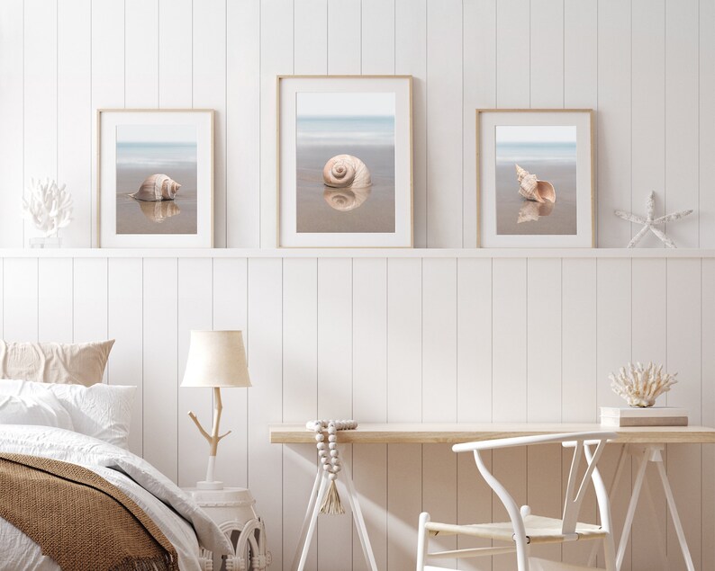 Set of 3 Shell Prints, Shell Print Set, Seashell Print Set, Shell ...