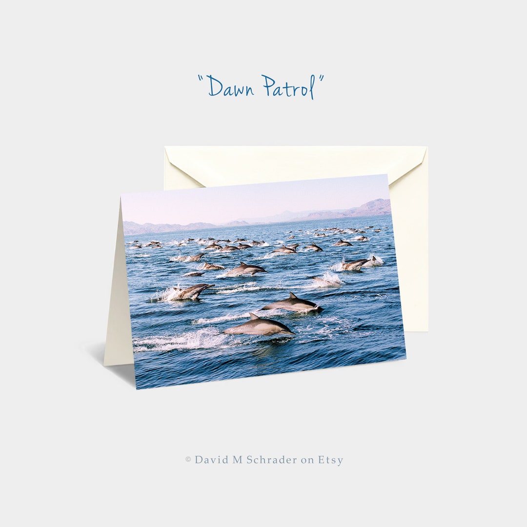 Dolphin Card, Dolphins Note Card, Note Cards, Porpoise Card, Dolphin ...