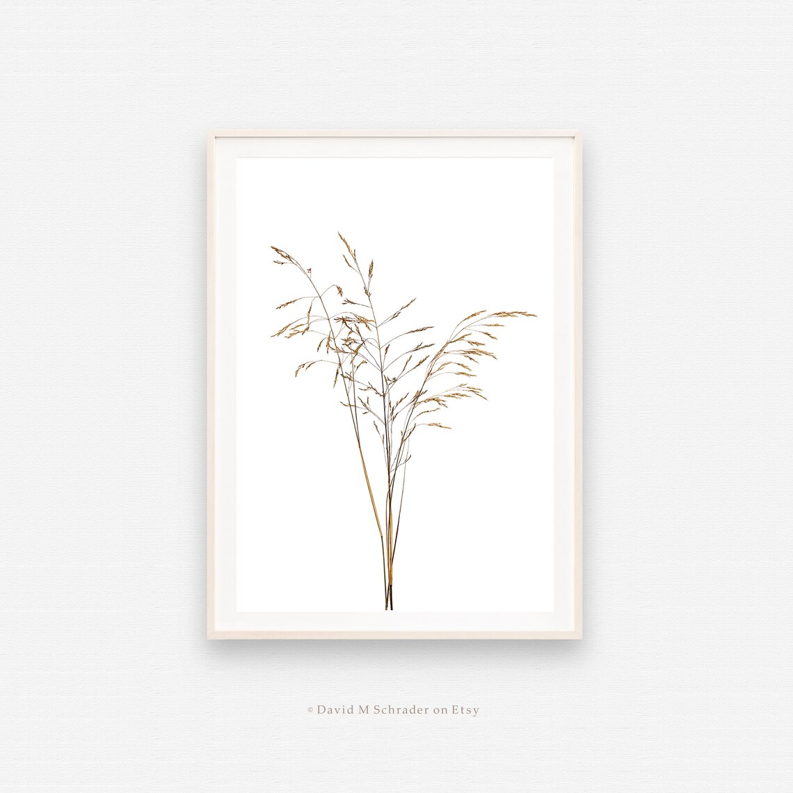 Minimalist Plant Printable Farmhouse Print Vintage Botany - Etsy