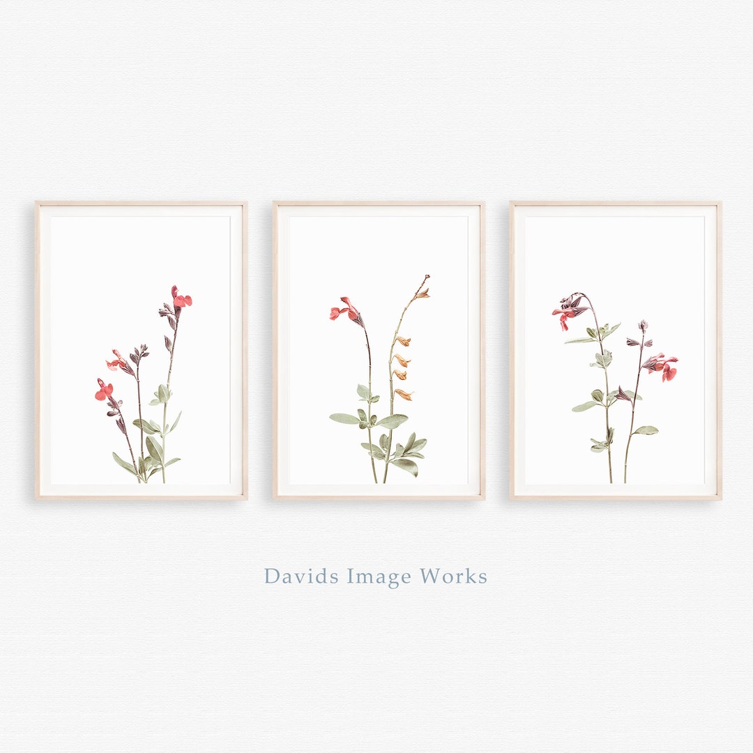 Set of 3 Red Flower Prints, Red Flower Triptych, Botanical Printable ...