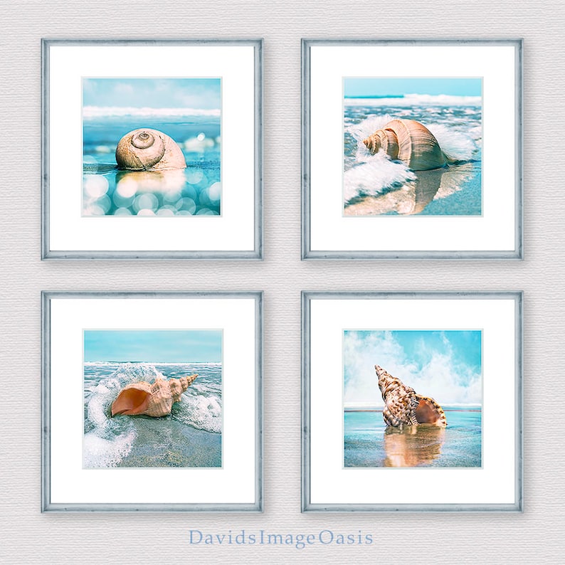 Seashell Print Set, Seashell Photo, Seashell Photography, Seashell ...